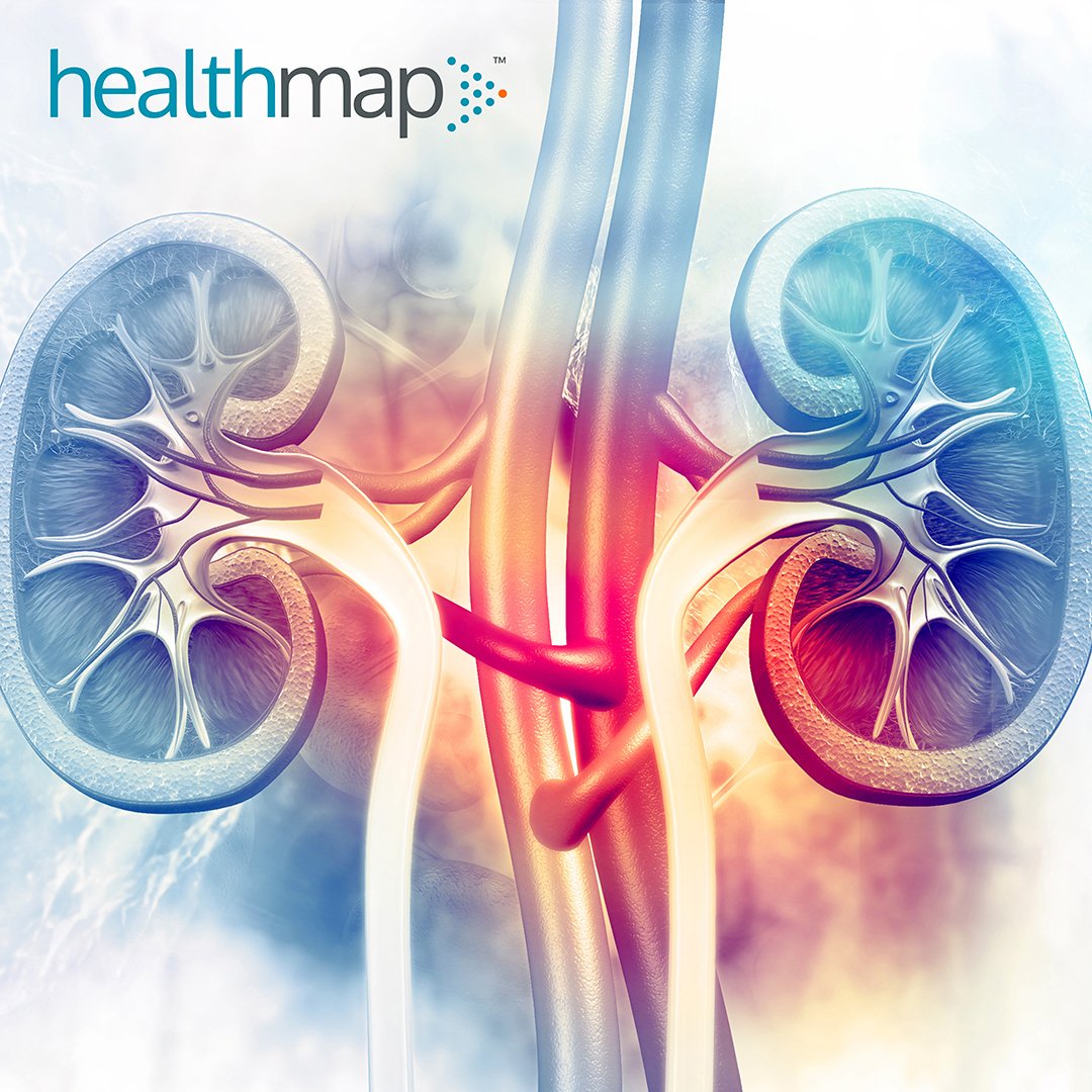 Updates to the Management of Adults with Chronic Kidney Disease